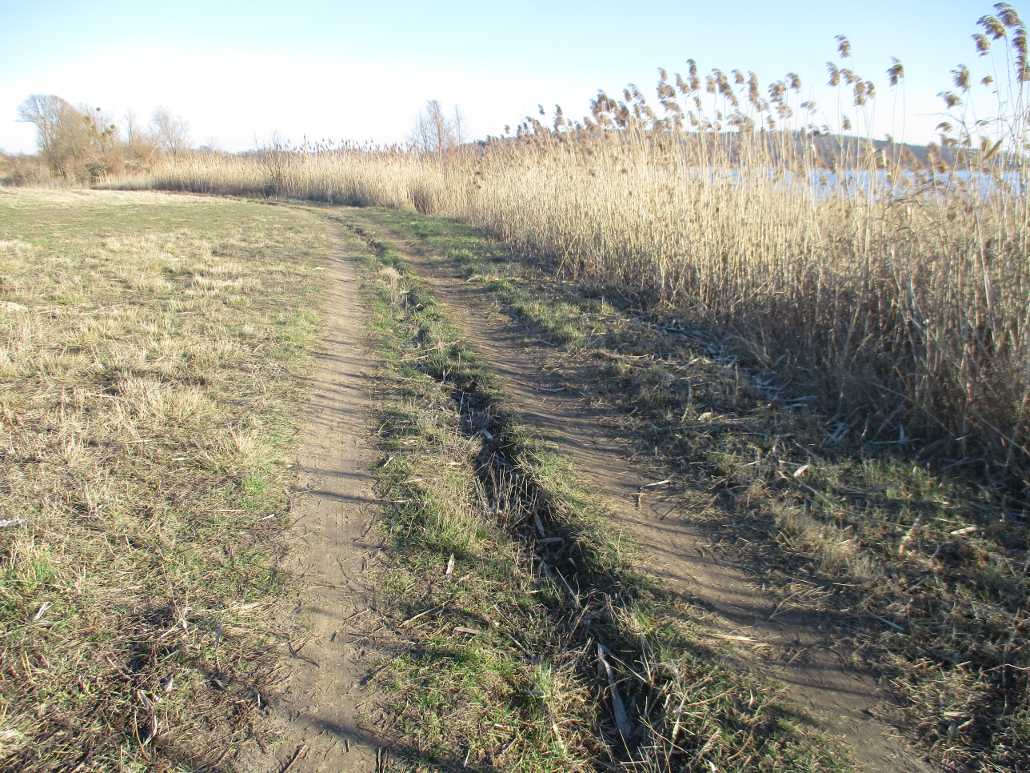 durch das Havelland - von Brandenburg nach Wannsee — Freizeitradler